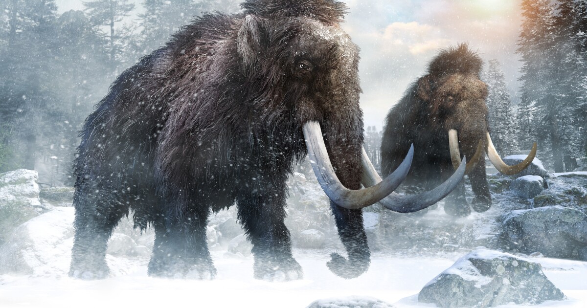 Freeze-dried mammoth reveals most complete ancient genome in 3D ...
