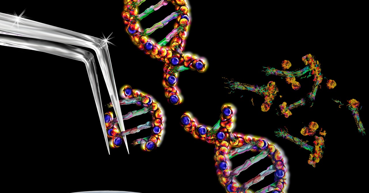 The First Crispr Treatment Is Making Its Way to Patients – Kowatek ...