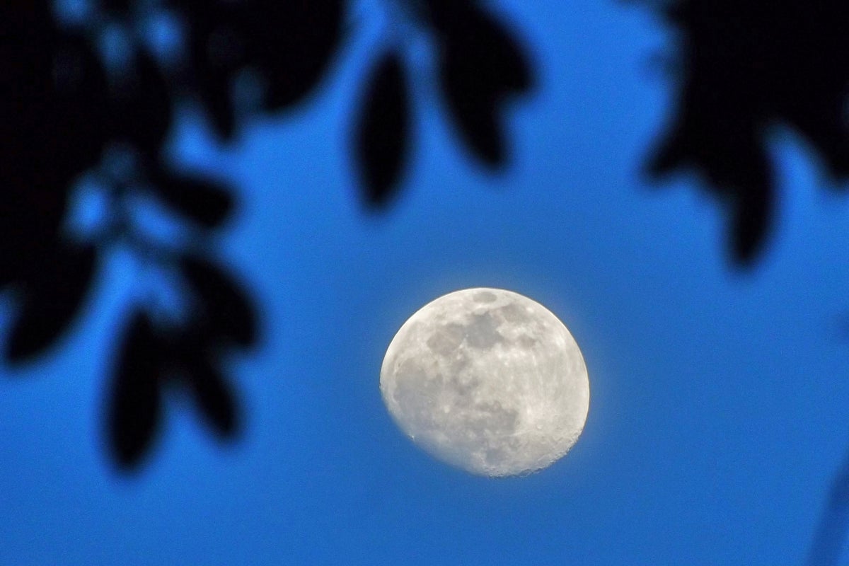 Why I Want to Be Buried on the Moon – Kowatek Solar LTD