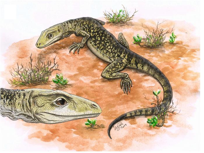 Tiny Fossil, Big Victory: World’s Oldest Lizard Reclaims Its Crown ...