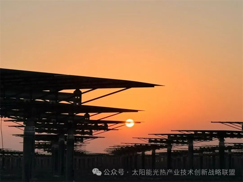 CSTE presents its CSP photo contest prizewinners - 2024 and 2025 ...